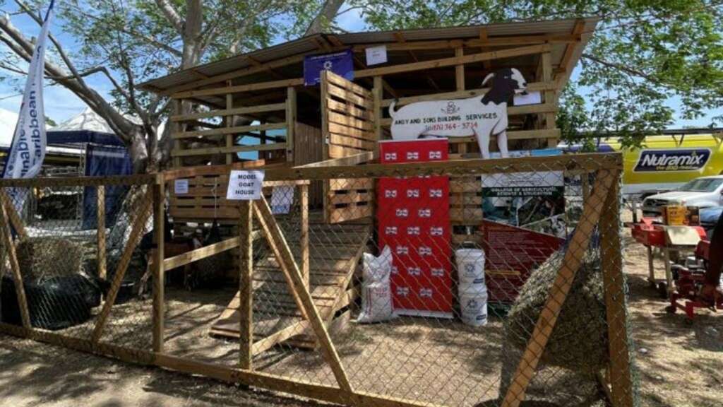 Farmers urged to embrace goat housing for sustainability - Jamaica Observer