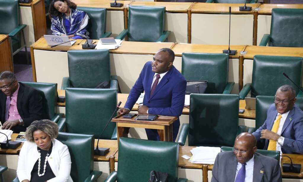 The miseducation and indoctrination of Senator Abka Fitz-Henley - Jamaica Observer