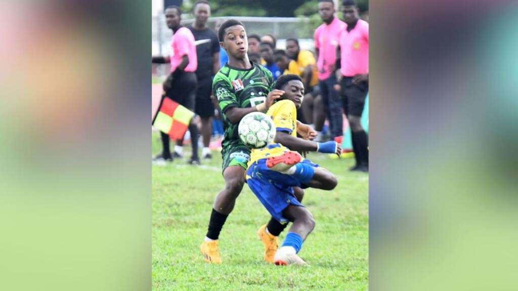 Hydel dig deep to beat Calabar - Jamaica Observer