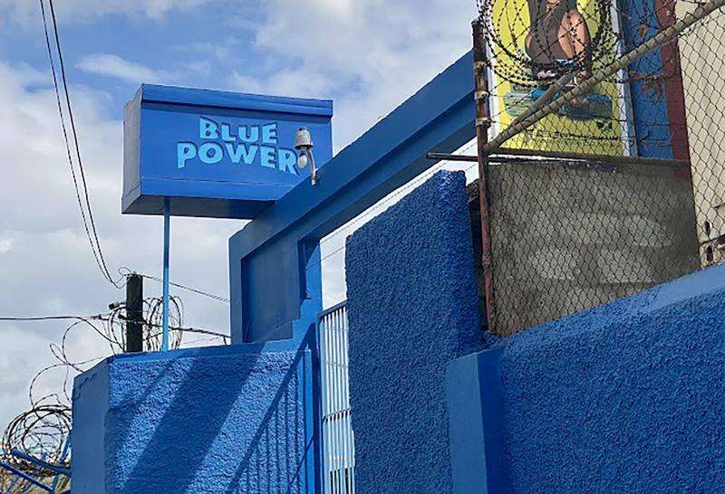 Blue Power Group's revenue soars by 66% - Jamaica Observer