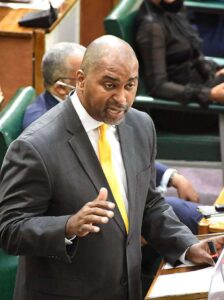 Opposition wants Procurement Act reviewed - Jamaica Observer