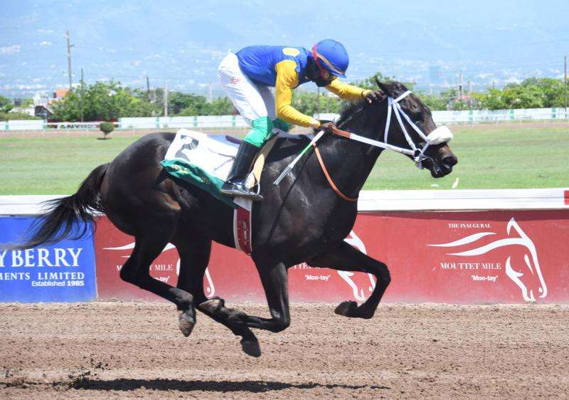 Ms Cherry has the quality — trainer Richard Azan - Jamaica Observer