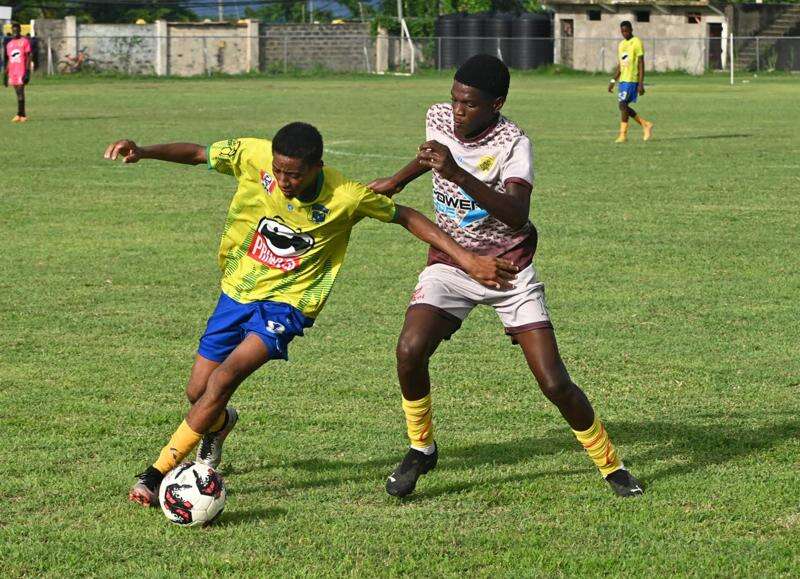 Edwin Allen, Mile Gully and Belair through to d'Cup second round ...