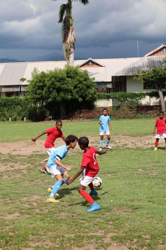Alberga Cup quarters in full swing today - Jamaica Observer
