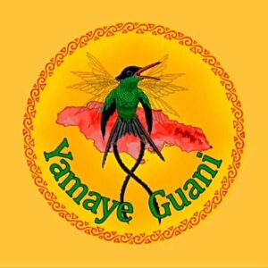 Taino Jitters - Jamaica Observer