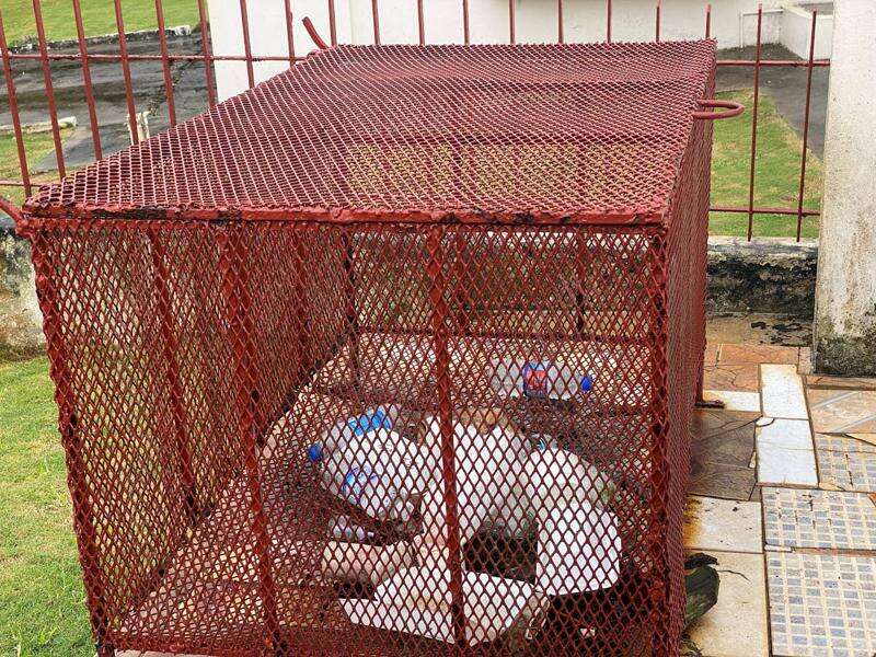 Use of garbage cages a nuisance, says SPM head - Jamaica Observer