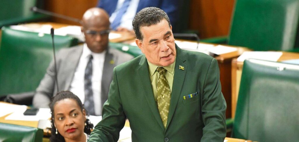 MP for St James Southern welcomes SOE - Jamaica Observer