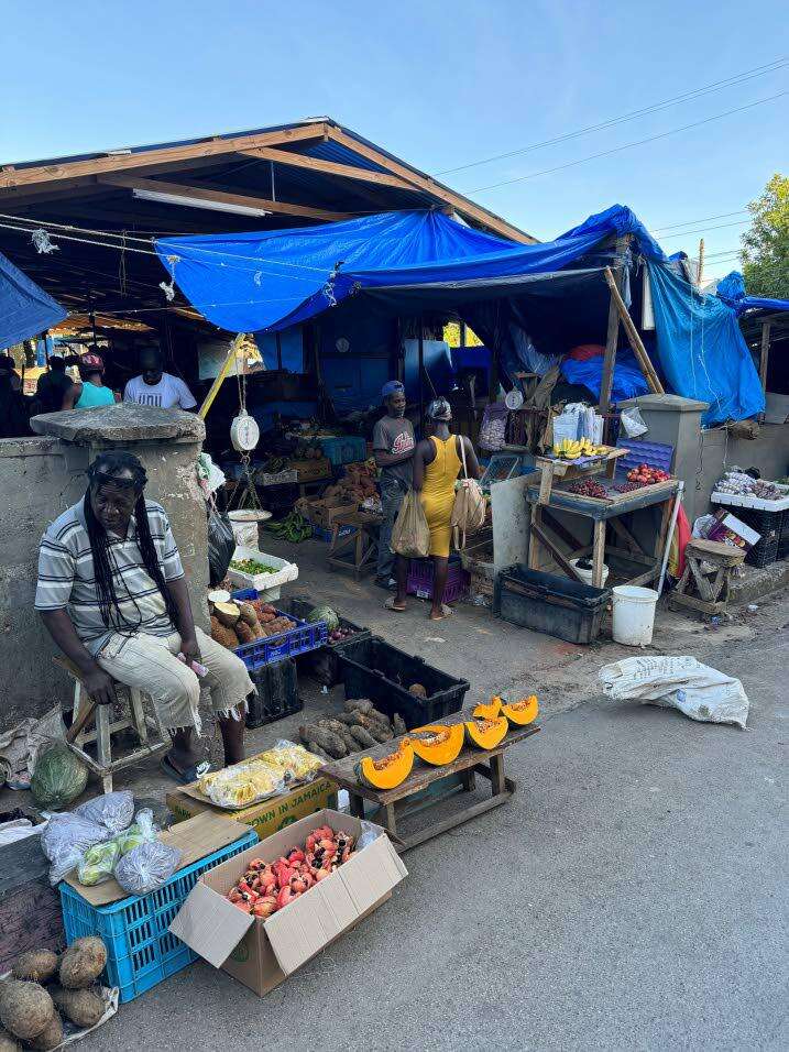 'Farming is not for the weak' - Jamaica Observer