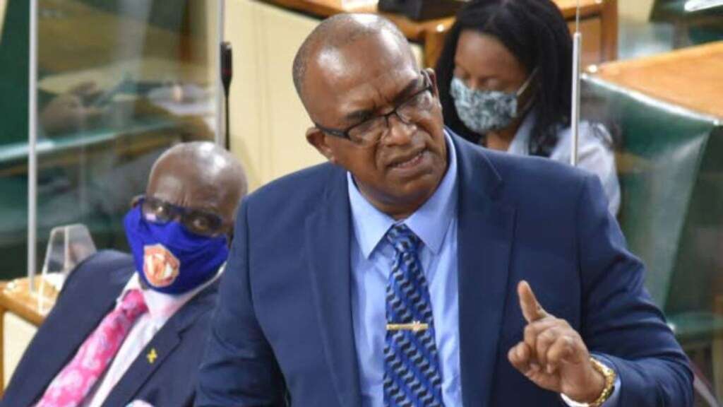 MP wants overseas farm work preparation programme - Jamaica Observer