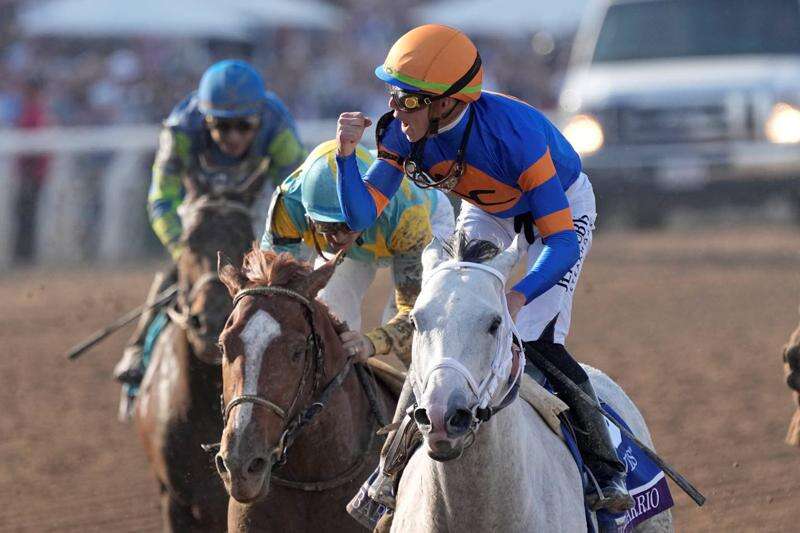 White Abarrio wins $6-m Breeders' Cup Classic, trainer Rick Dutrow back ...