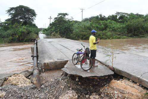 New Alley Bridge to cost $1.2 billion - Morgan - Jamaica Observer