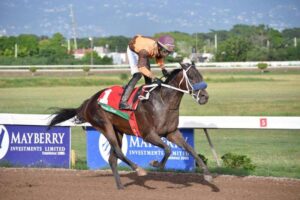 Ian Levy Cup next for Perfect Brew — trainer Richard Azan - Jamaica ...