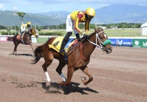 A winning debut for Oh So Smart - Jamaica Observer
