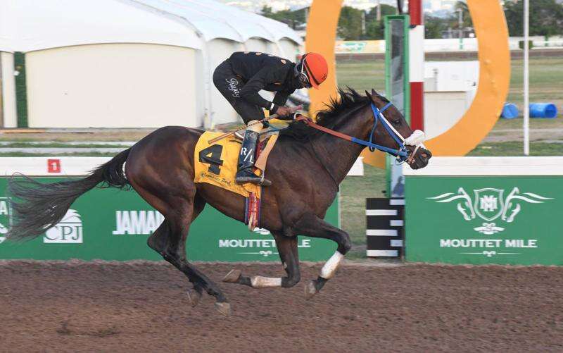 Arnold Rambally Jr, Ruja Lahoe combine for first win in 2023 - Jamaica ...