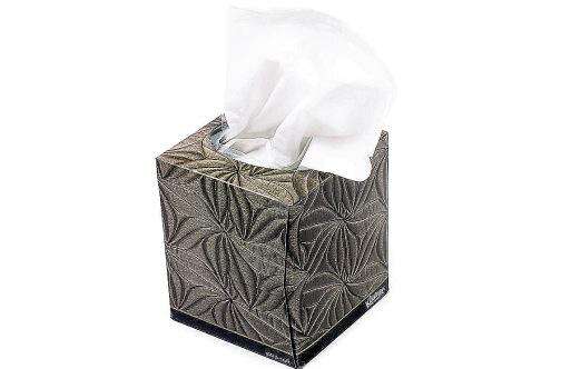 No tissue, no problem? - Jamaica Observer