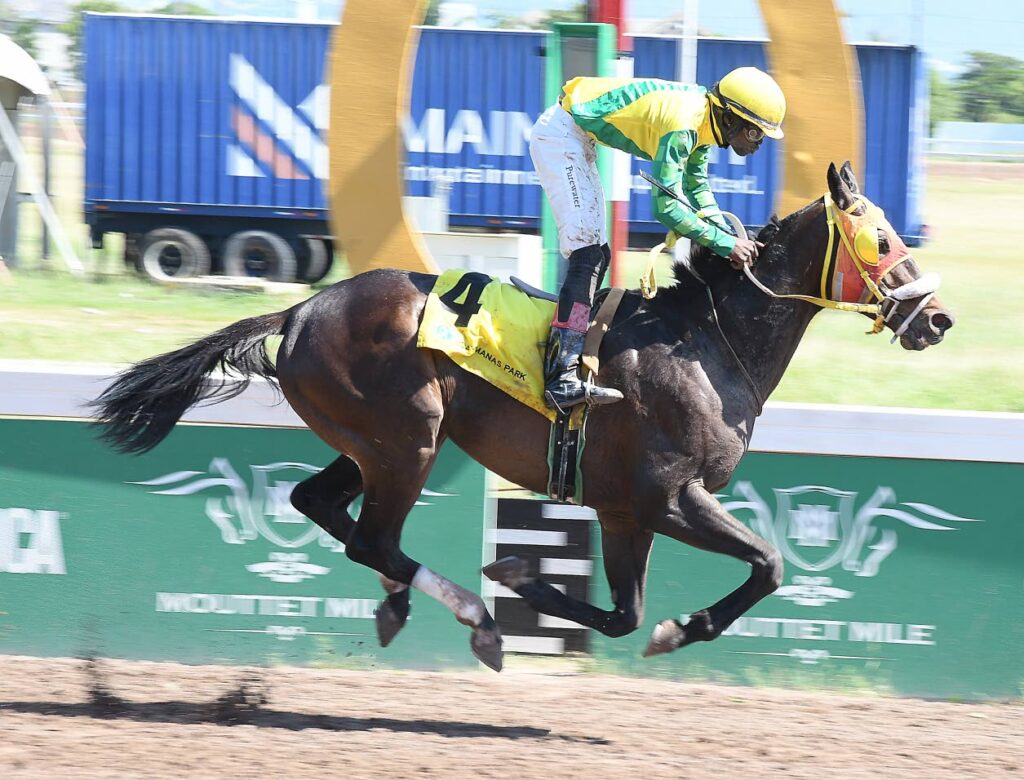 Mule Train comes good for trainer Leroy Tomlinson - Jamaica Observer