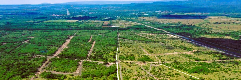 Agro parks: Done right, they can still transform the economy - Jamaica ...