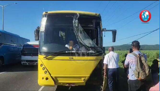 WATCH: JUTC bus damaged while avoiding collision with car on Mandela ...
