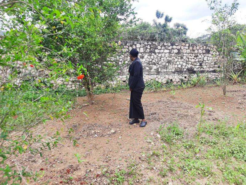 Bypass path irks MoBay businesswoman - Jamaica Observer