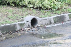 PUBLIC HEALTH DANGER! - Jamaica Observer