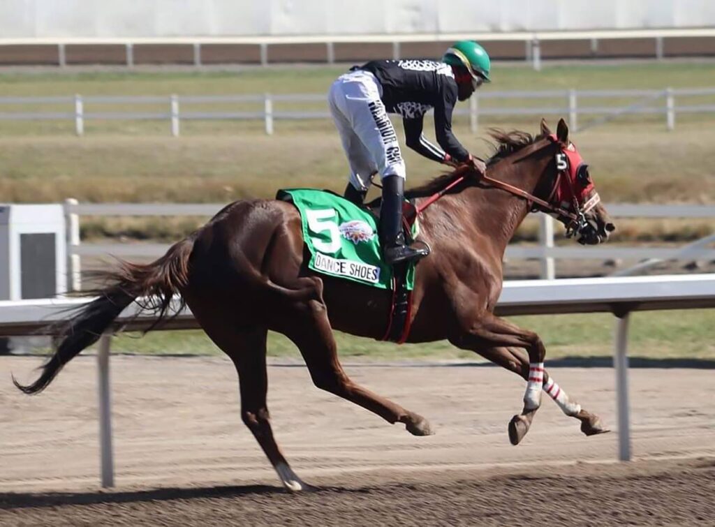 Dane Nelson continues to make his mark in the music industry - Jamaica ...