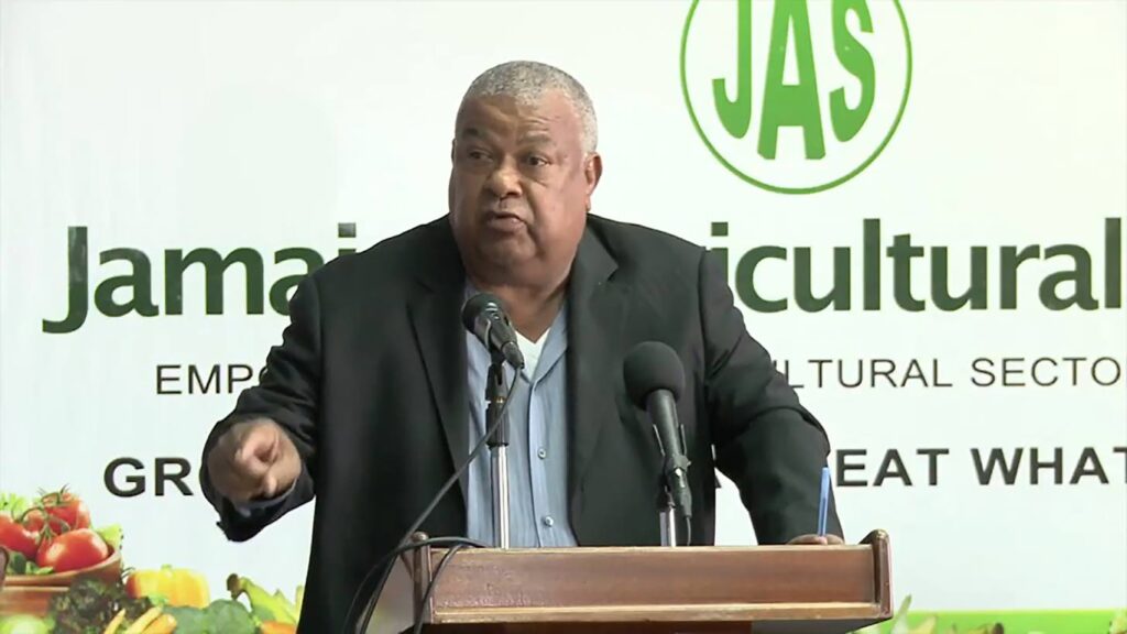 JAS turns focus to expansion of business plan - Jamaica Observer