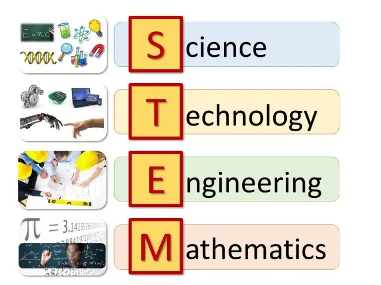 STEM subjects vs the others - Jamaica Observer