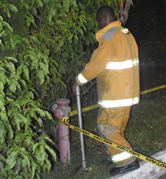 Firefighters attempting to contain Negril Great Morass fire - Jamaica ...