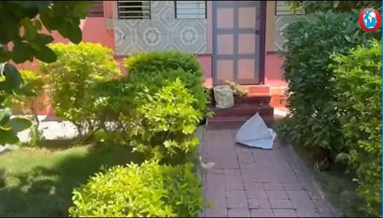 WATCH: Man gunned down at home in Greenwich Farm - Jamaica Observer