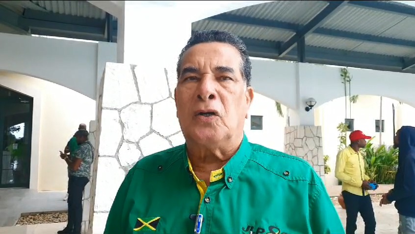 WATCH: Delay in calling local government election won’t hurt JLP ...