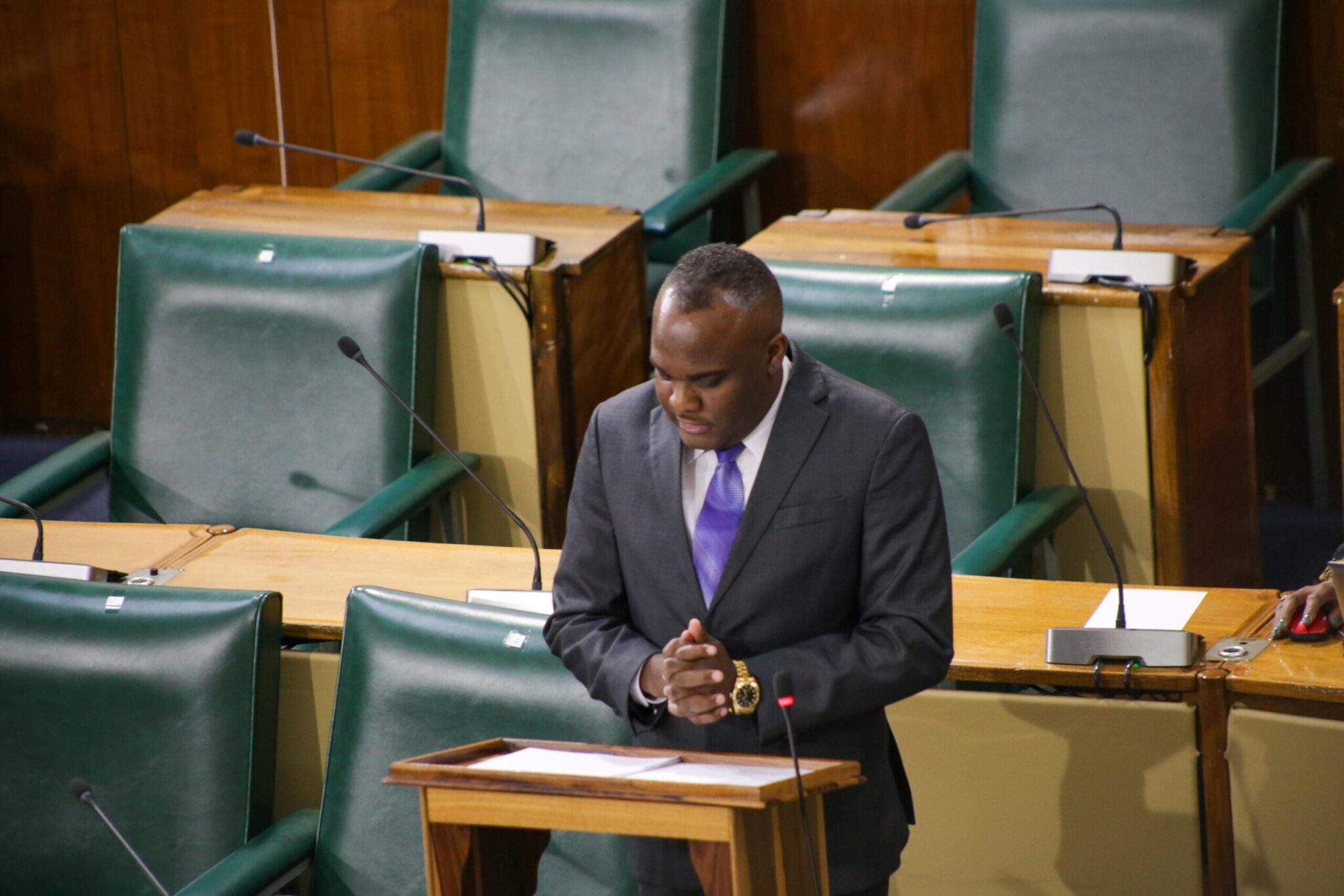 Fitz-Henley blasts Morris for ‘spurious’ NHT allegations - Jamaica Observer