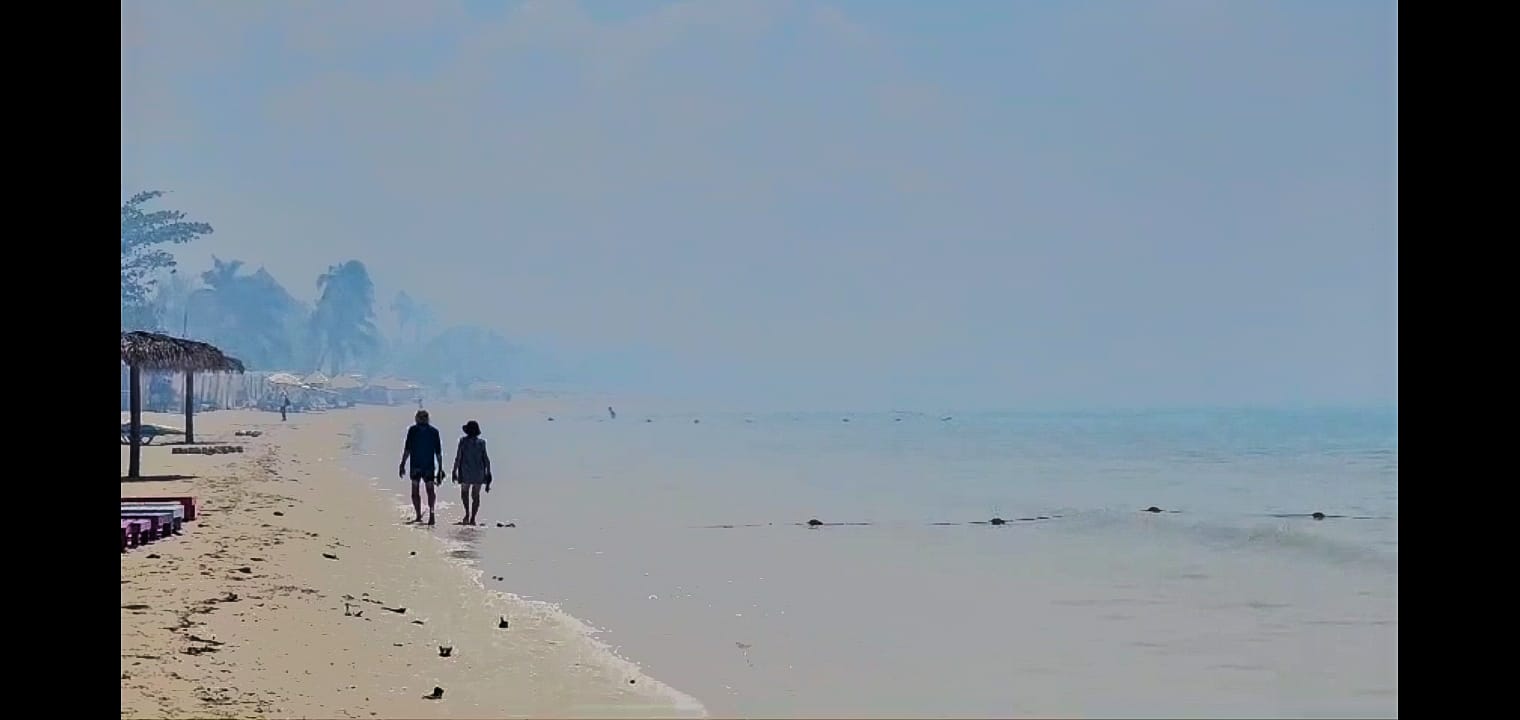 Hotels impacted by smoke from Negril Great Morass fire - Jamaica Observer