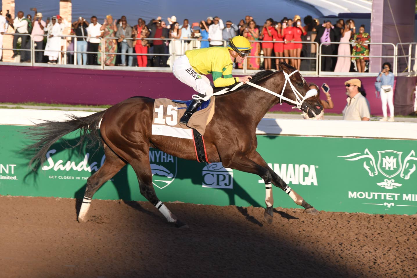 Rough Entry has the edge over Atomica for Chairman’s Trophy - Jamaica ...