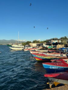 Jamaica can double blue economy earnings — CaPRI - Jamaica Observer