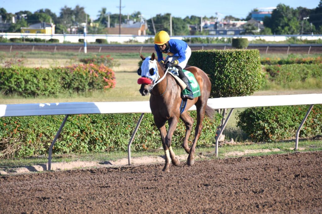 Kem poise for future growth — trainer Paul Swaby - Jamaica Observer