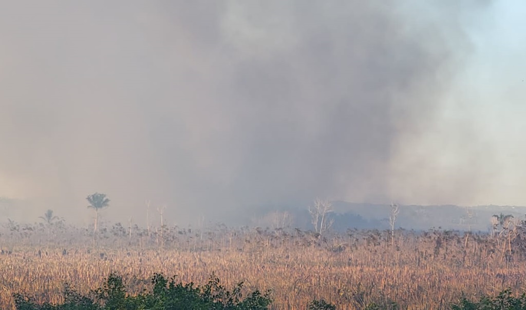 Negril hoteliers sound warning over age-old morass fire problem ...