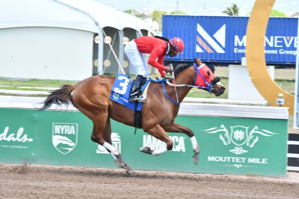 Chocomo one to watch after debut win - Jamaica Observer