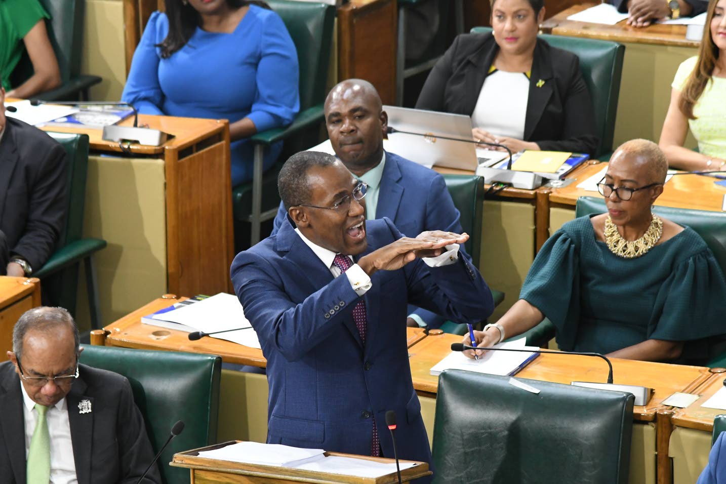 Finsac experience a nightmare still ongoing - Jamaica Observer