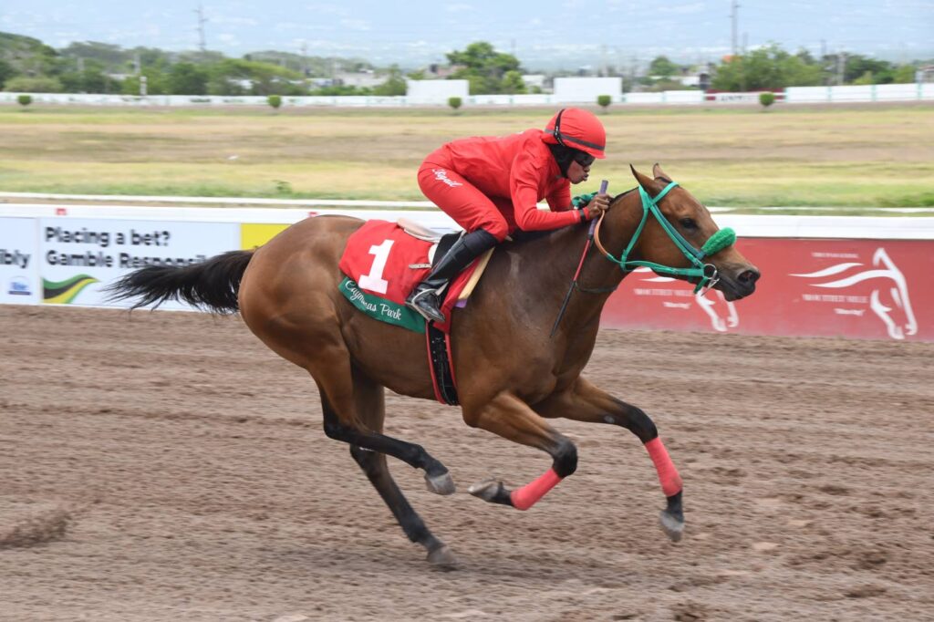 Banadura, Ms Cherry main principals in Hotline Stakes contest - Jamaica ...