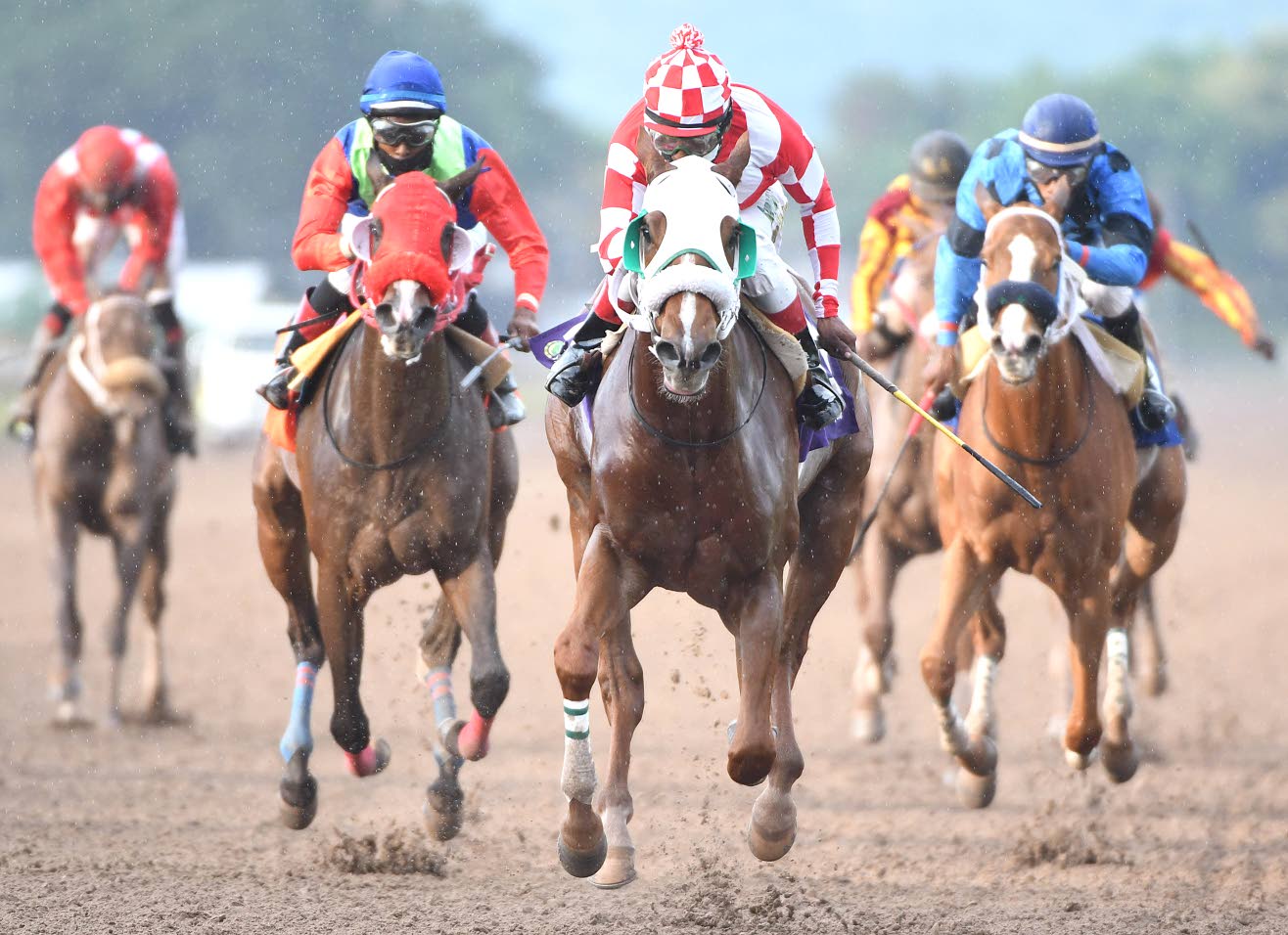 Stakeholders welcome new whip rule in local horse racing - Jamaica Observer