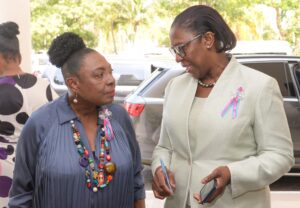 Joint Select Committee on Domestic Violence (Amendment) Act to meet ...
