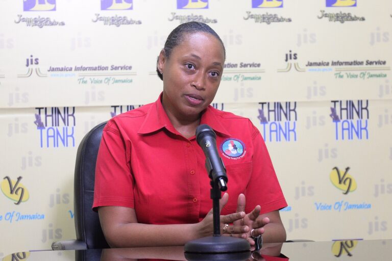 ECC lists main offerings in Brain Builder Centres - Jamaica Observer