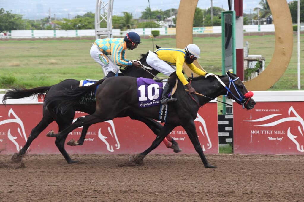 Dedication the key to my success — champion apprentice Matthew Bennett ...