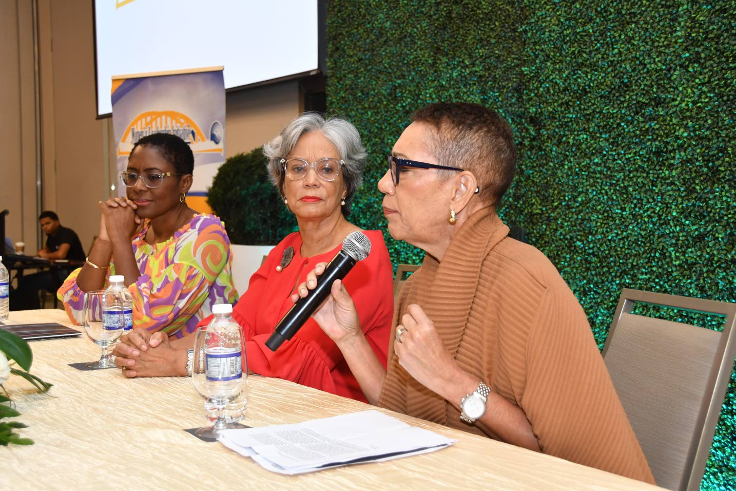 SO2 - A WLI Celebration - Jamaica Observer
