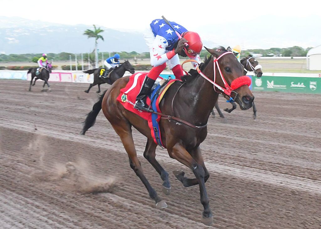 Lower-level victory for Emperorofthecats - Jamaica Observer