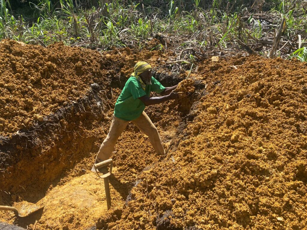 ‘Mr Dead’ still digging graves after 60 years - Jamaica Observer