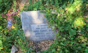 Veteran Jamaican actress Lois Kelly Miller is dead - Jamaica Observer