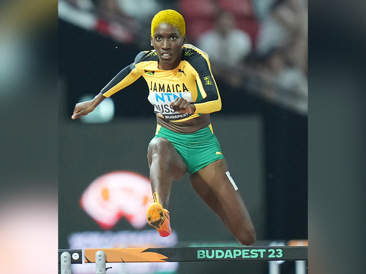 Levell faces Tracey test at Velocity Fest 15 - Jamaica Observer