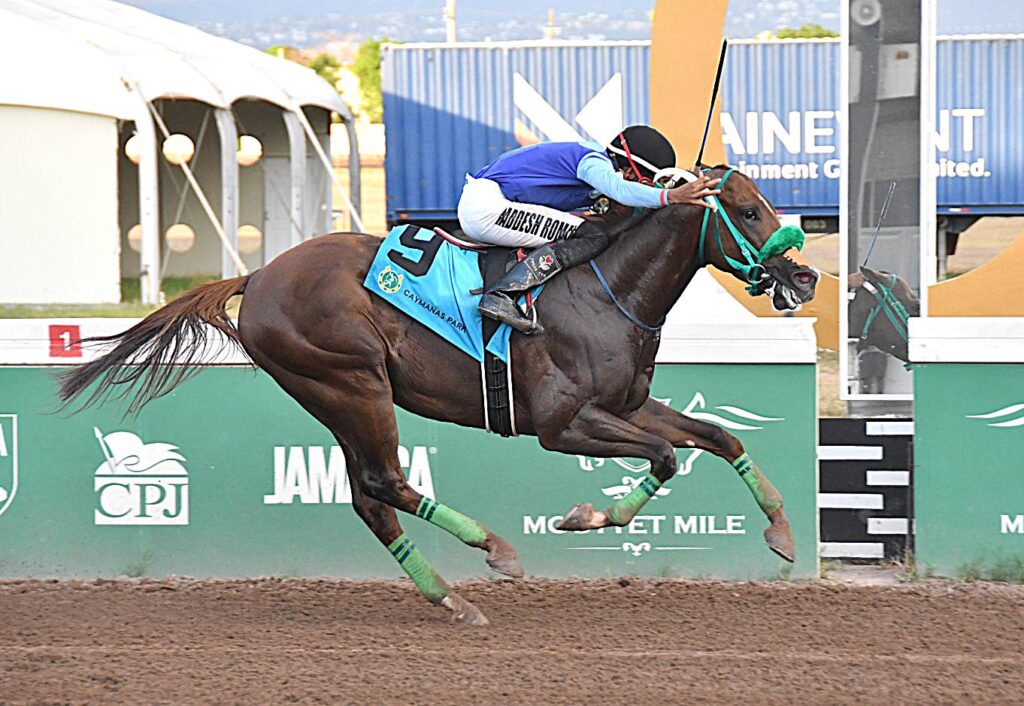 Raddesh Roman with five-star performance at Caymanas - Jamaica Observer