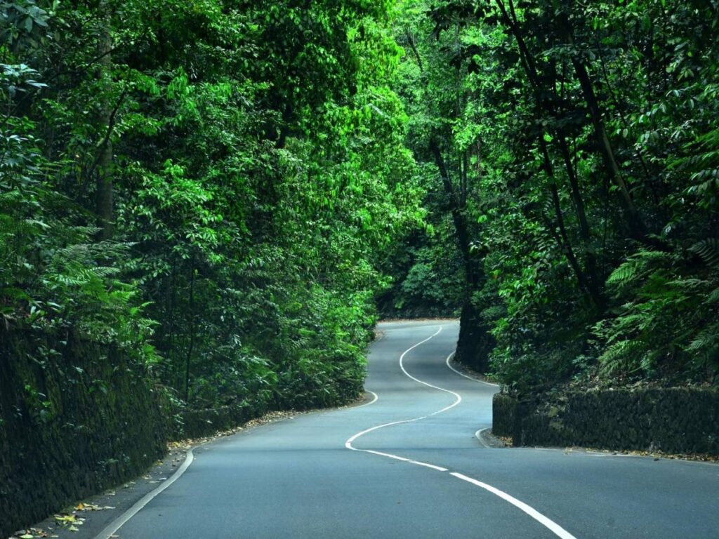 Two more in Fern Gully crash die - Jamaica Observer
